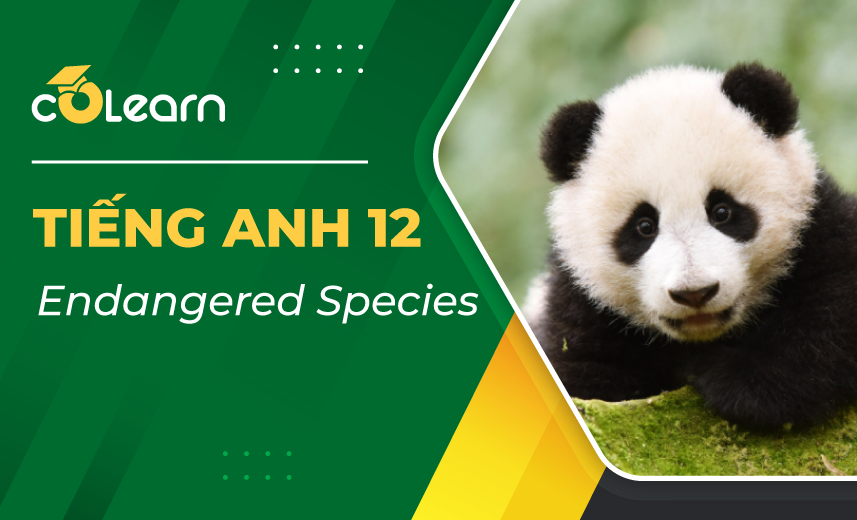 Unit 6: Endangered Species - Các loài sắp tuyệt chủng